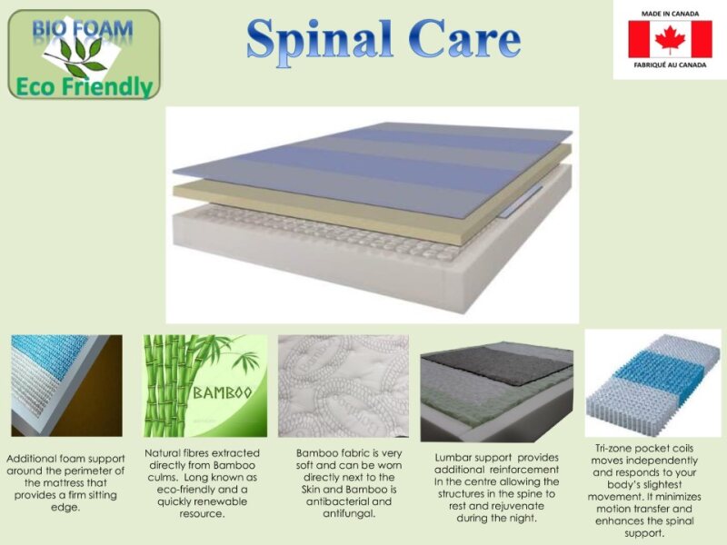 Spinal Care Mattress - - Dreamland Furniture – Dreamland Furniture Inc.